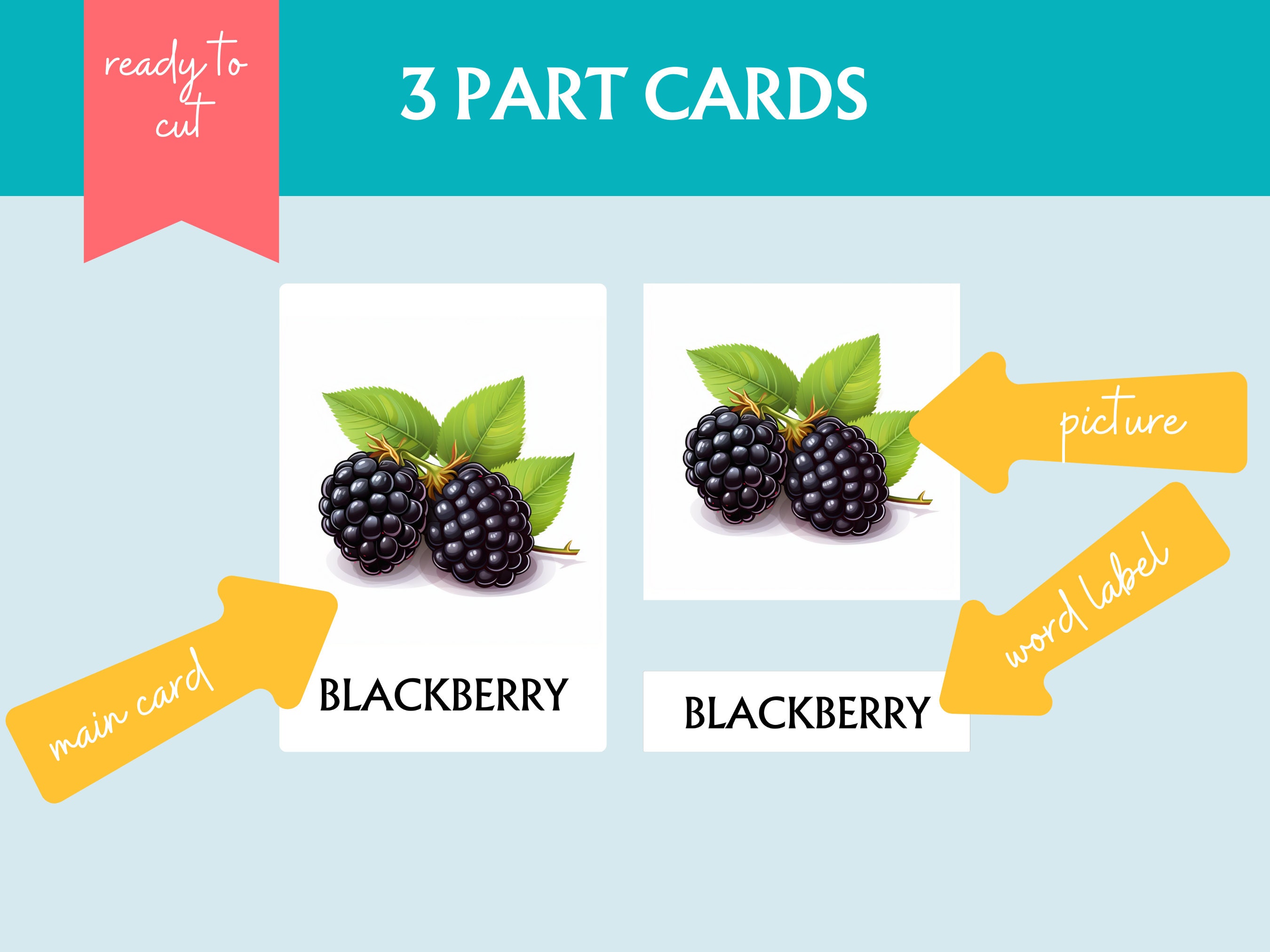 30 Magical Montessori Fruit Flash Cards PDF, Fun Montessori Cards ...