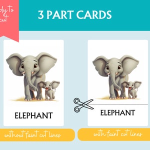 20 Safari Animals Flash Cards, Montessori Materials, Educational ...