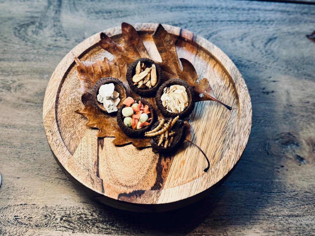 Pod Buffet Sampler: Treats & Treasures, Snacks for Isopods - Etsy