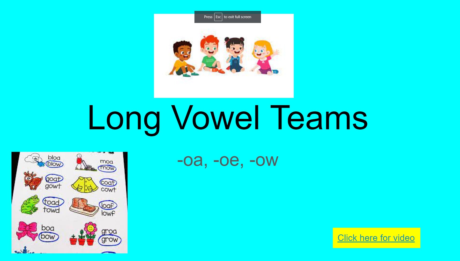 Oa Ow Oe Vowel Teams Lesson Plan - Etsy
