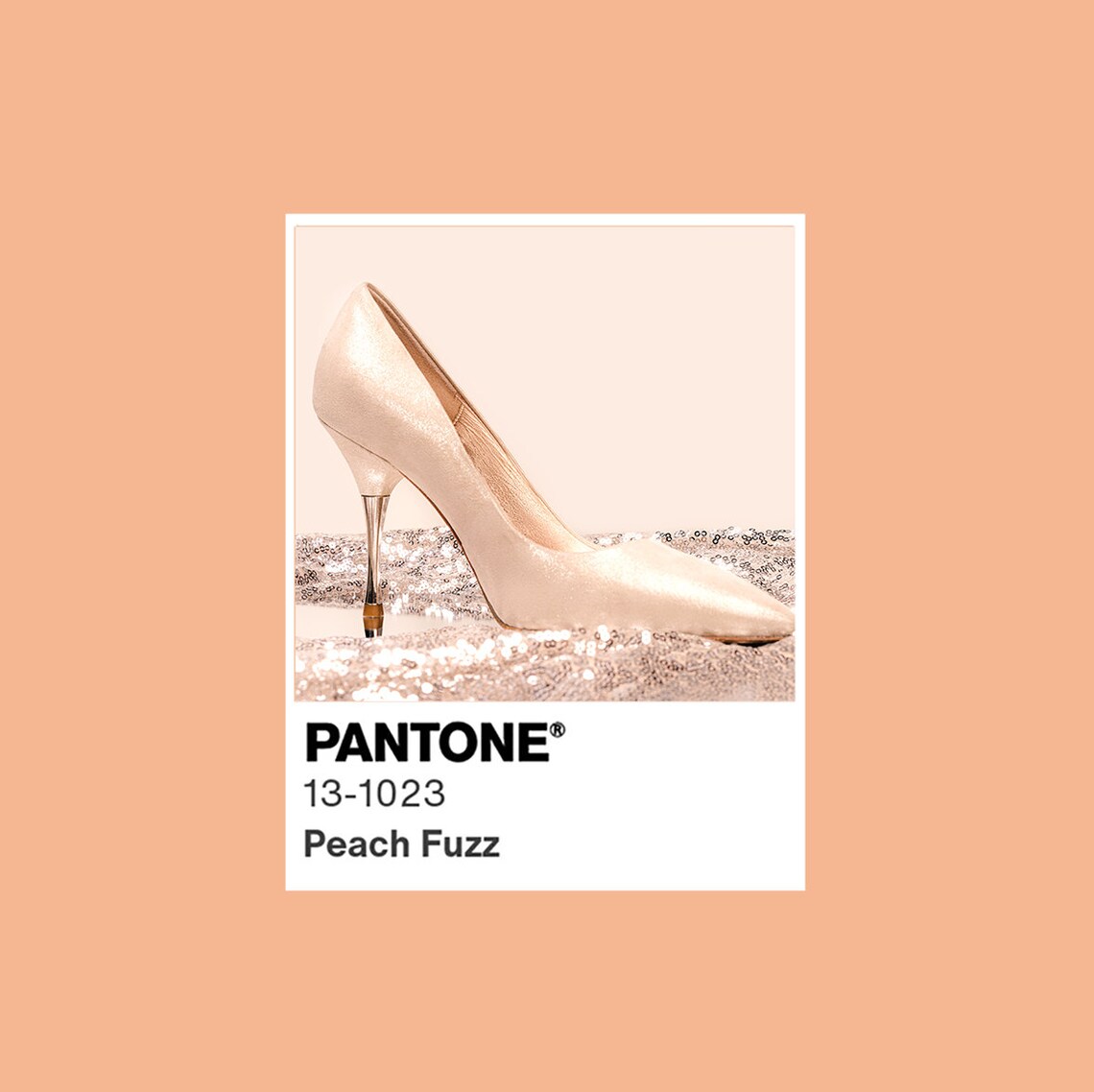 Peachfuzz Pantone 2024 Inspired Social Media Post Social Media Video ...