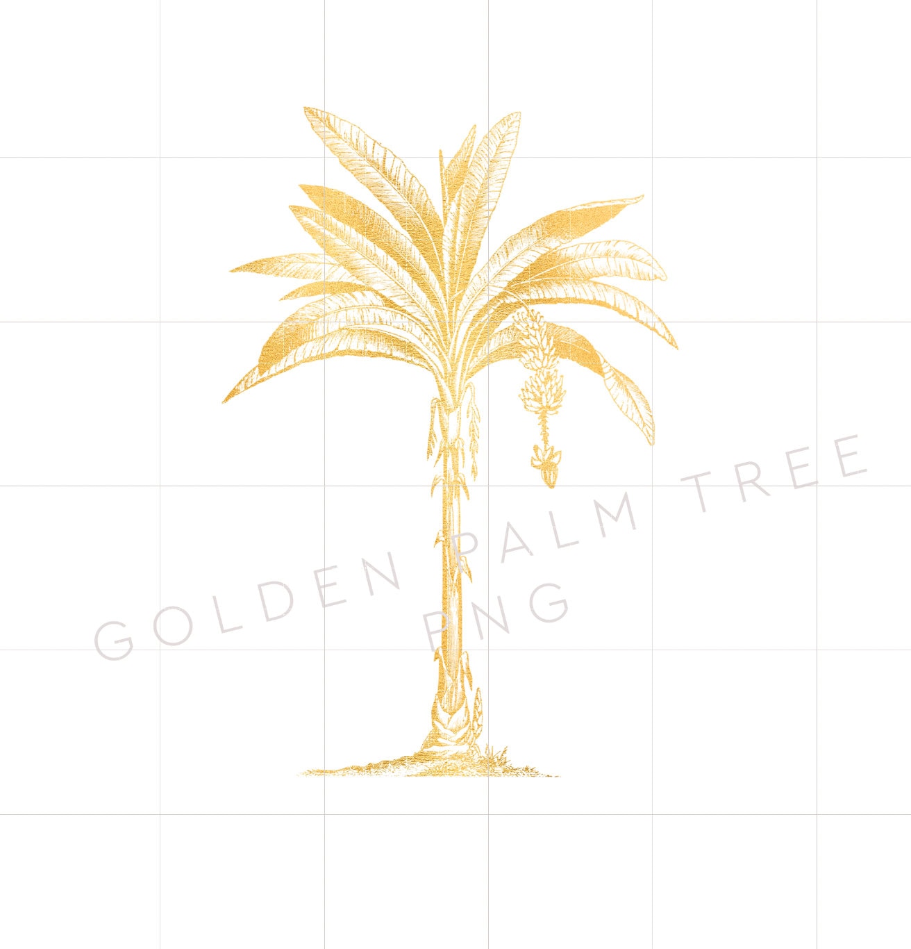 Gold Palm Tree PNG Downloads | Gold Foil Palm Tree Clip Art | Elegant ...