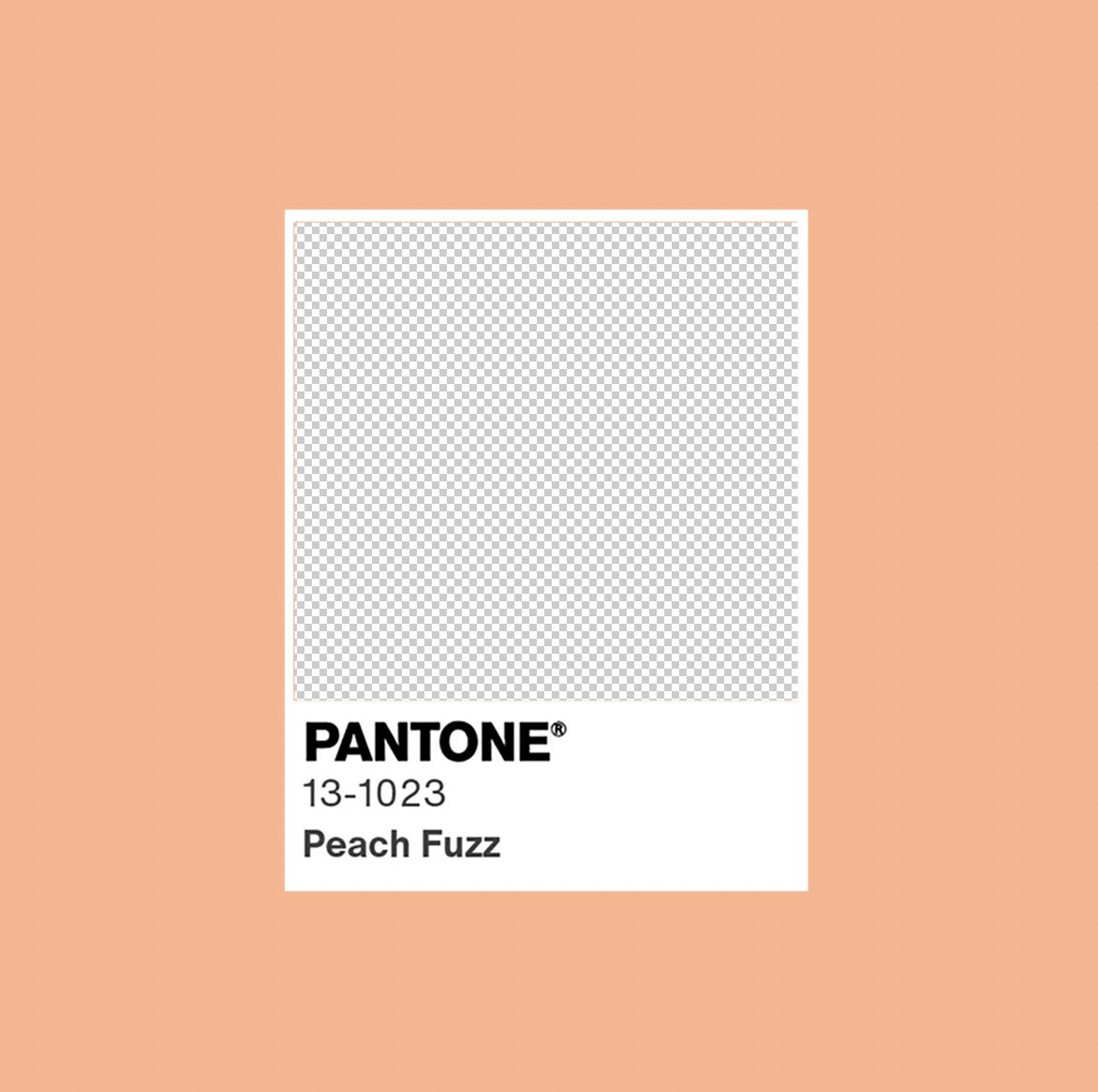 Peachfuzz Pantone 2024 Inspired Social Media Post Social Media Video ...