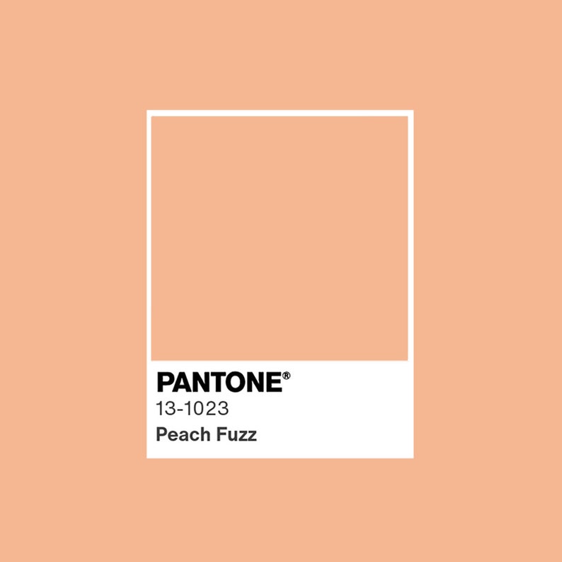 Peachfuzz Pantone 2024 Inspired Social Media Post Social Media Video ...