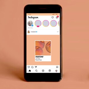 Peachfuzz Pantone 2024 Inspired Social Media Post Social Media Video ...