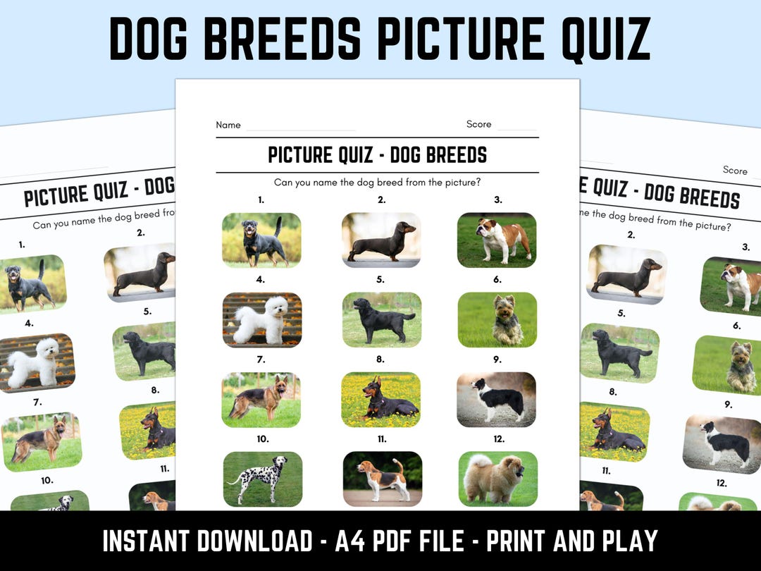 Printable Dog Breeds Picture Quiz With Answers: Picture Round Quiz ...