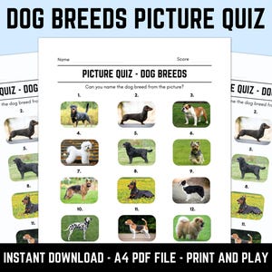 Printable Dog Breeds Picture Quiz With Answers: Picture Round Quiz ...