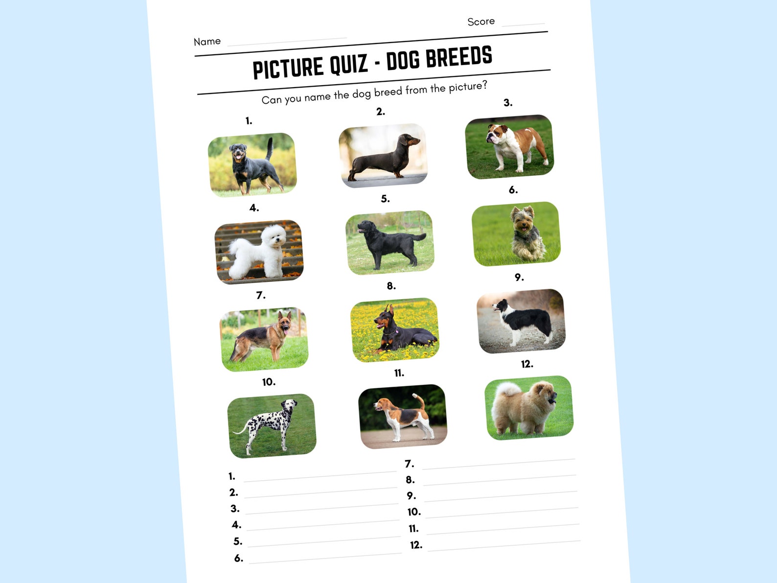 Printable Picture Quiz Bundle – 16 Picture Quizzes With Answers - Etsy