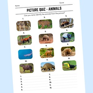 Printable Animals Picture Quiz With Answers: Picture Round Quiz Sheets ...