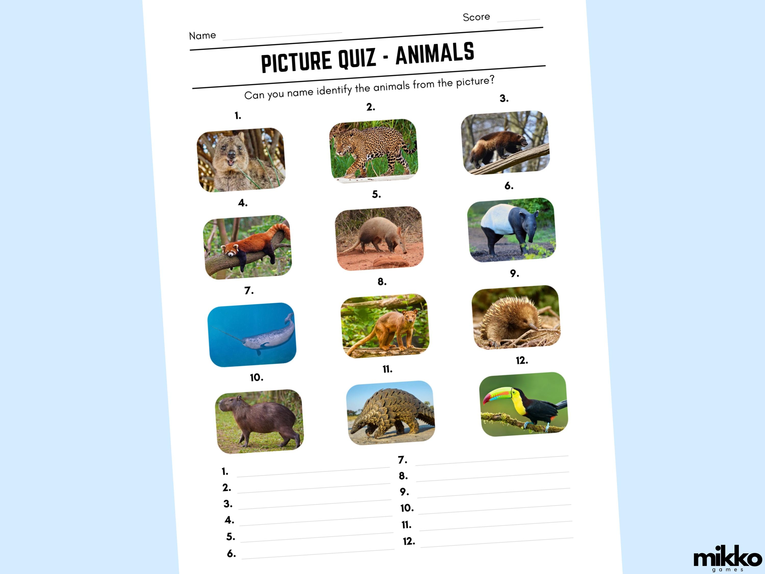 Printable Animals Picture Quiz With Answers: Picture Round Quiz Sheets ...