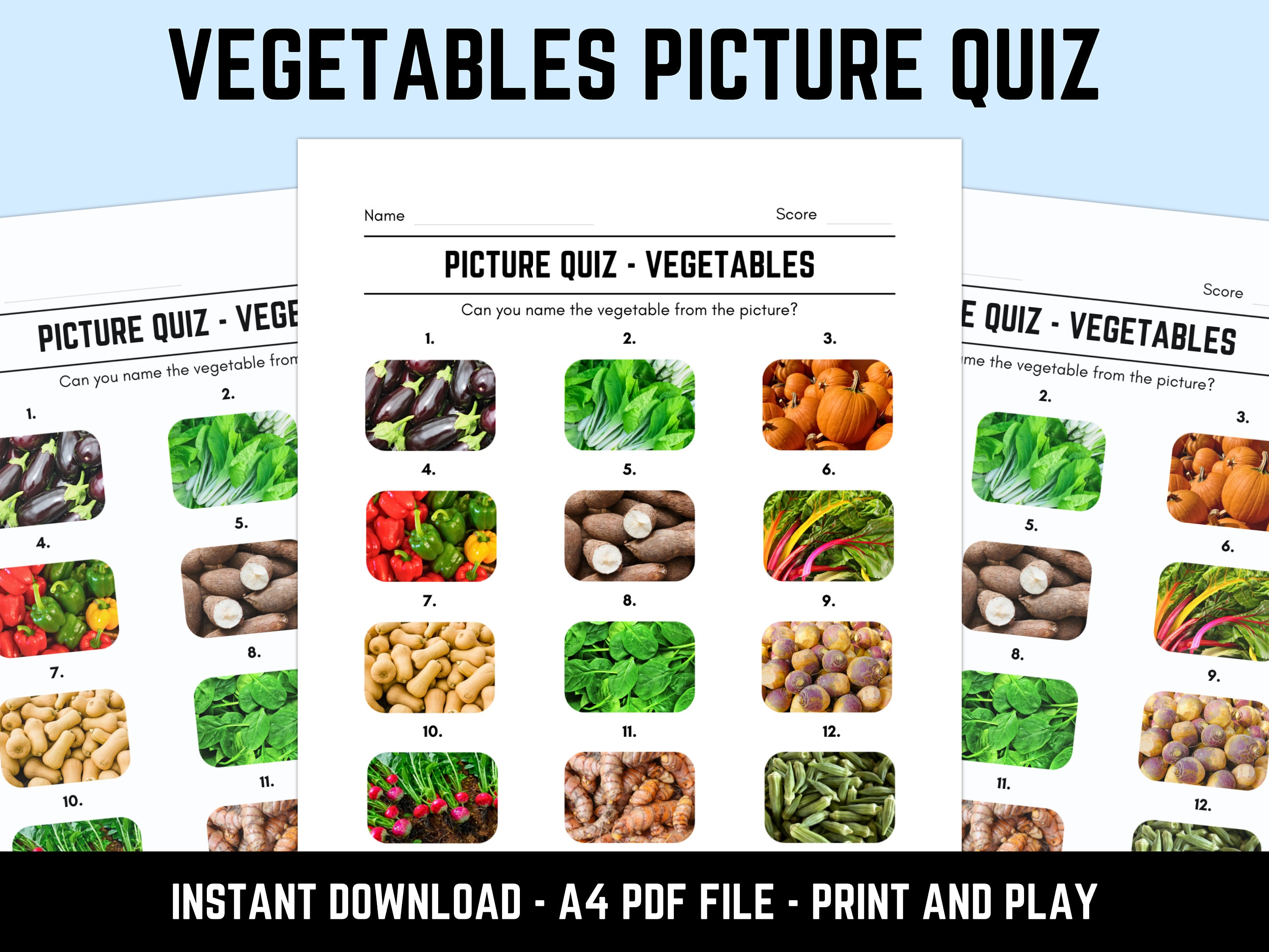 Printable Vegetables Picture Quiz With Answers - Etsy UK
