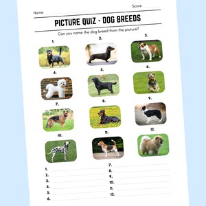 Printable Dog Breeds Picture Quiz With Answers: Picture Round Quiz ...