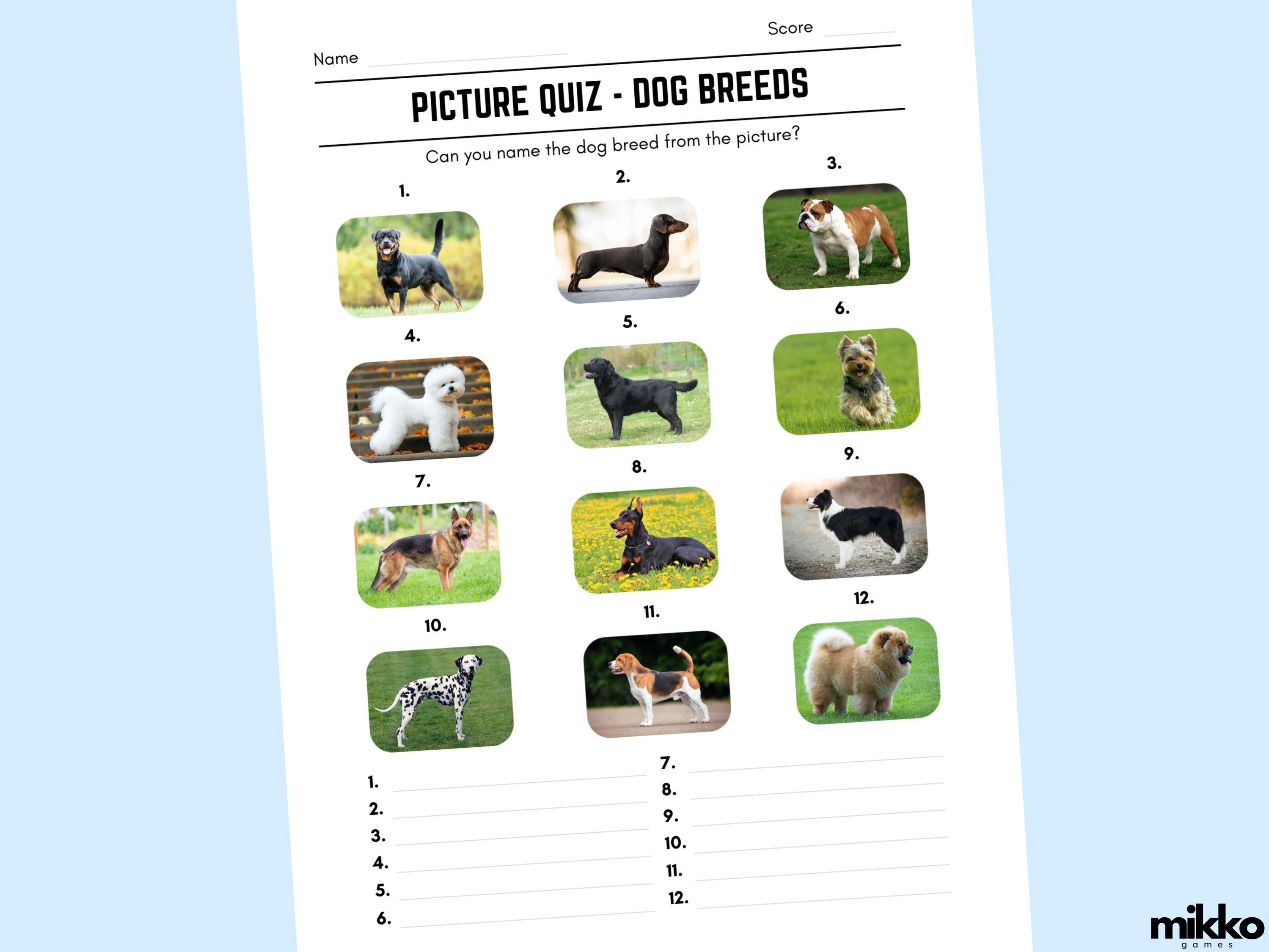 Printable Dog Breeds Picture Quiz With Answers: Picture Round Quiz ...