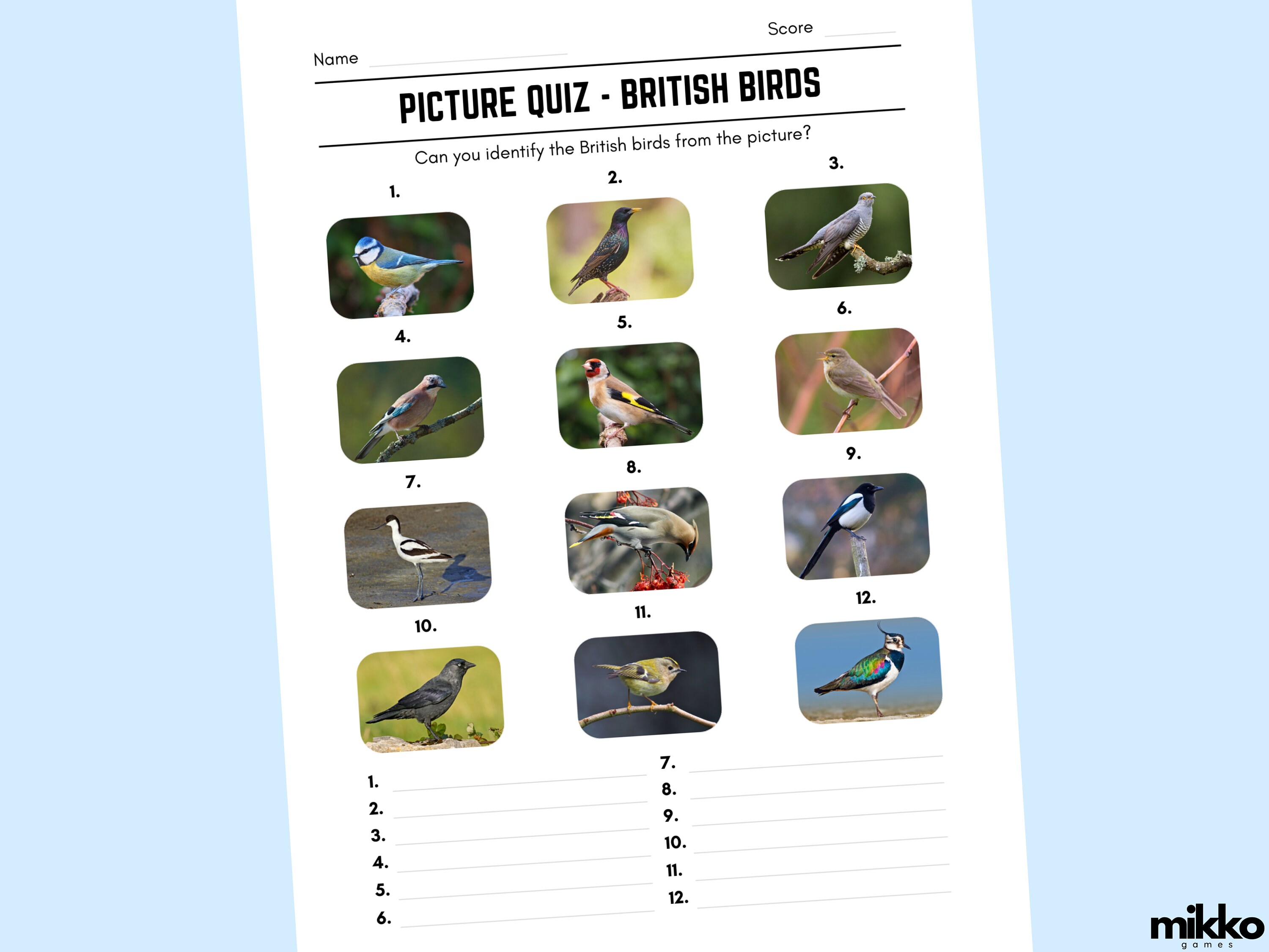 Printable British Birds Picture Quiz With Answers - Etsy