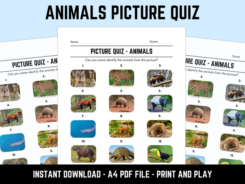 Printable Animals Picture Quiz With Answers - Etsy