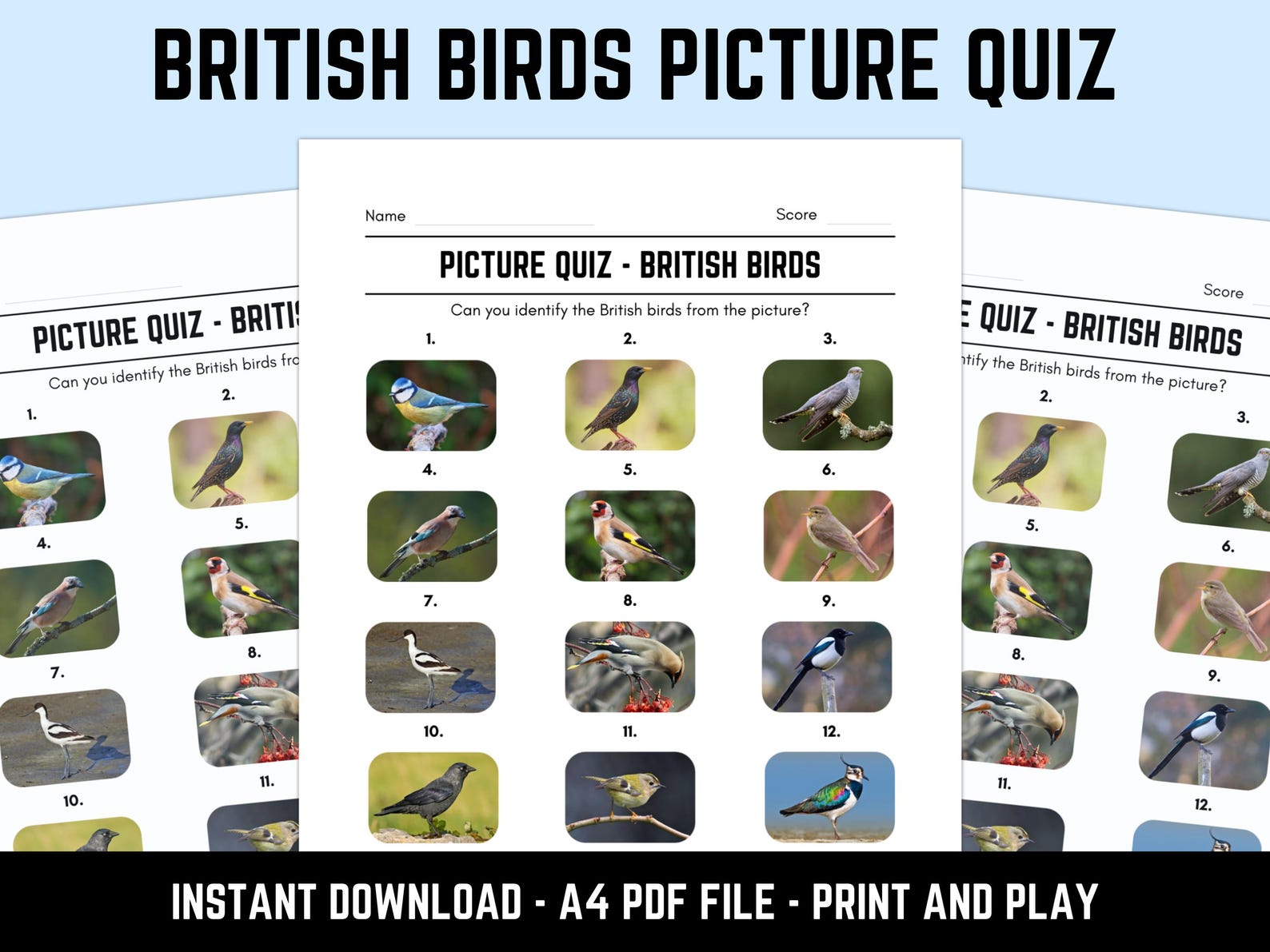 Printable British Birds Picture Quiz With Answers: Picture Round Quiz ...