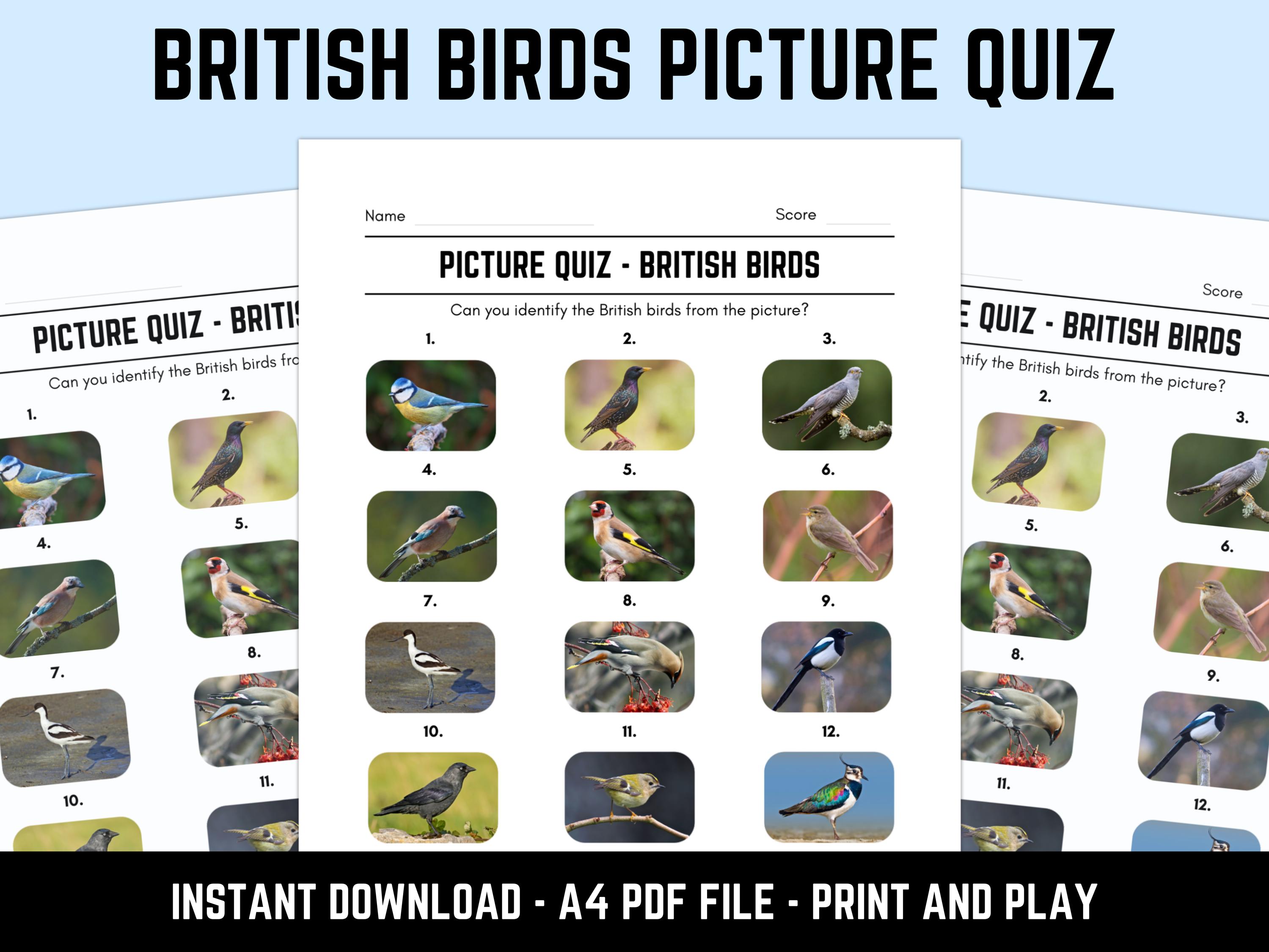 Printable British Birds Picture Quiz With Answers: Picture Round Quiz ...