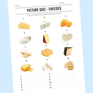 Printable Cheeses Picture Quiz With Answers - Etsy