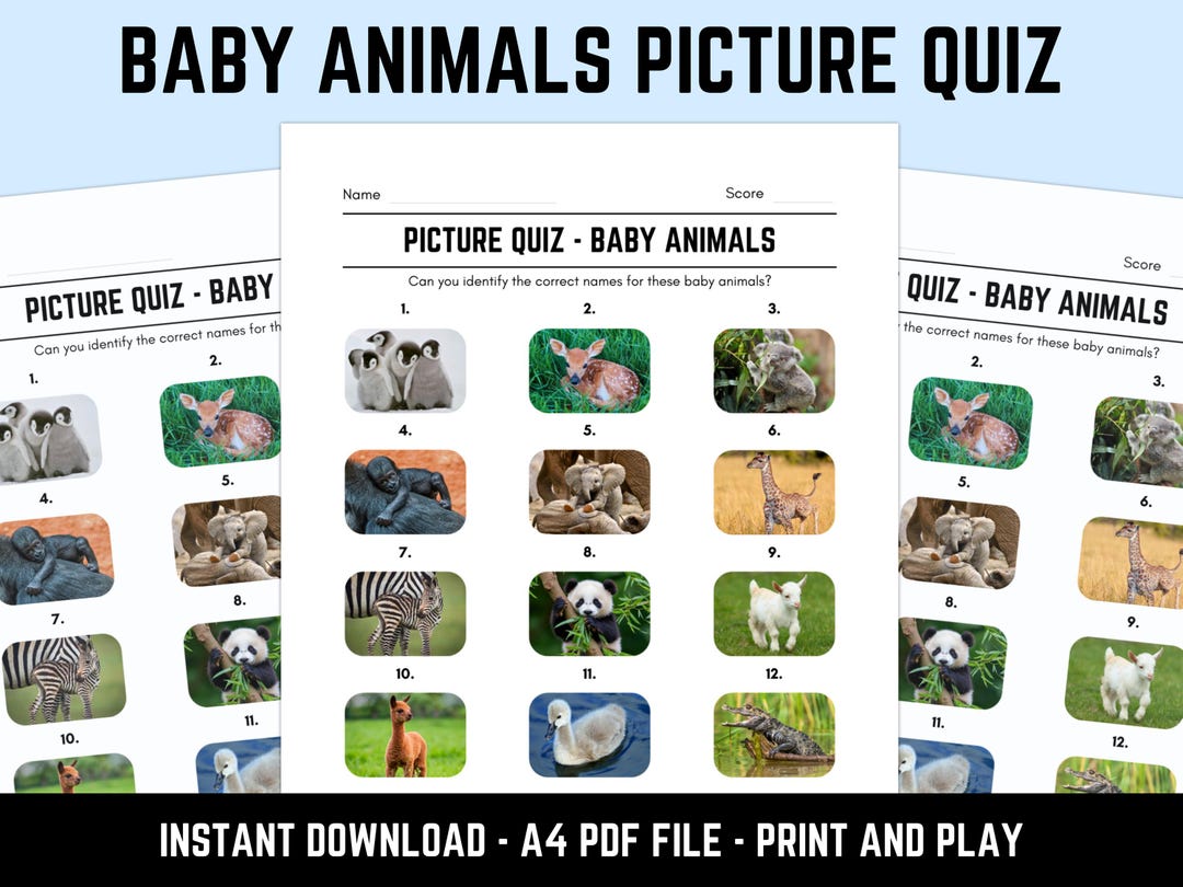 Printable Baby Animals Picture Quiz: Downloadable Pub Quiz Trivia ...