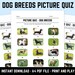 Printable Dog Breeds Picture Quiz With Answers - Etsy