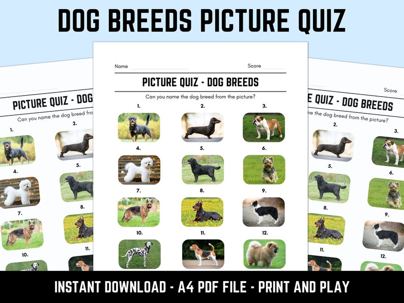Printable Dog Breeds Picture Quiz With Answers - Etsy