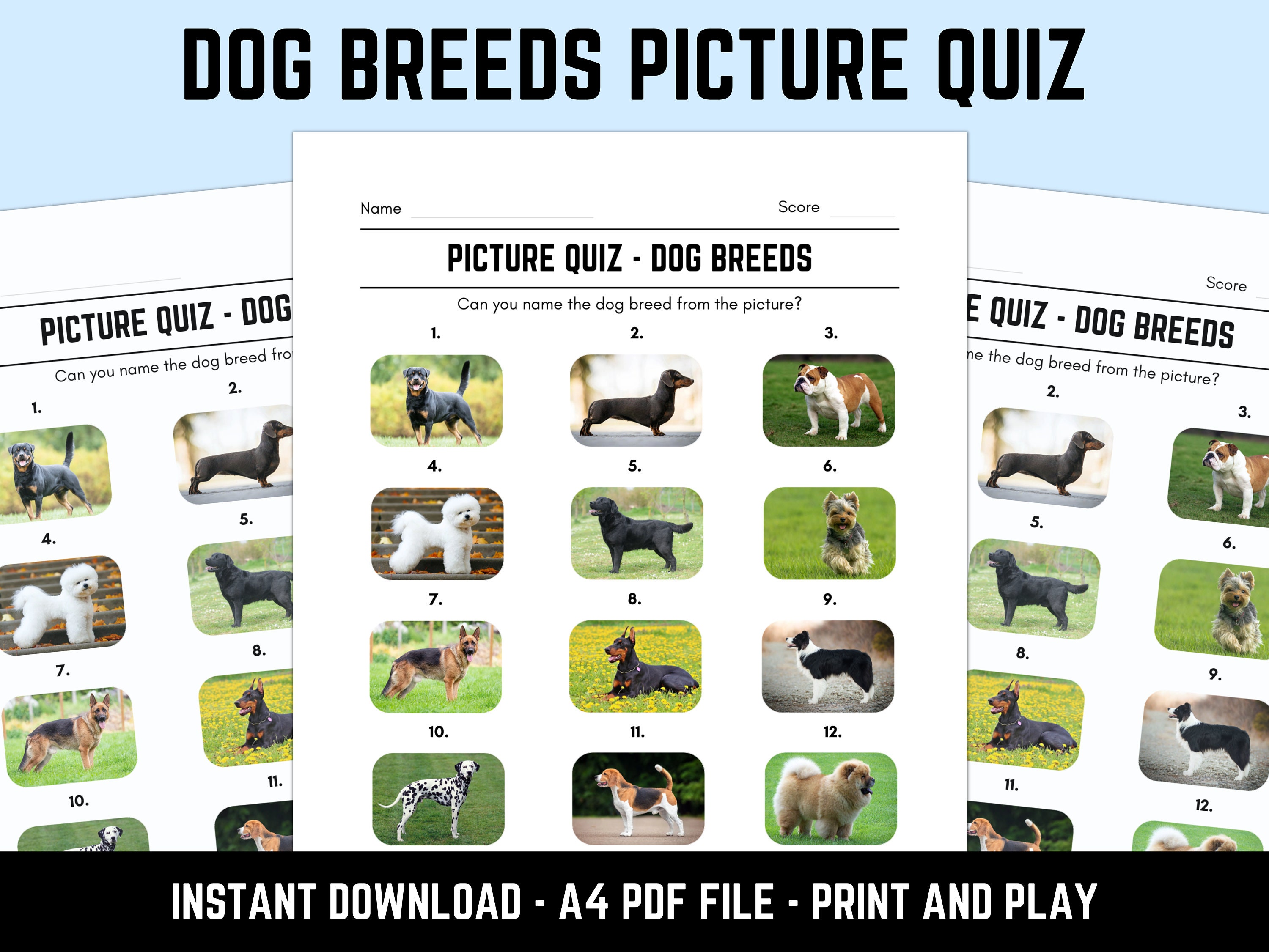Printable Dog Breeds Picture Quiz With Answers - Etsy
