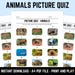 Printable Animals Picture Quiz With Answers: Picture Round Quiz Sheets ...