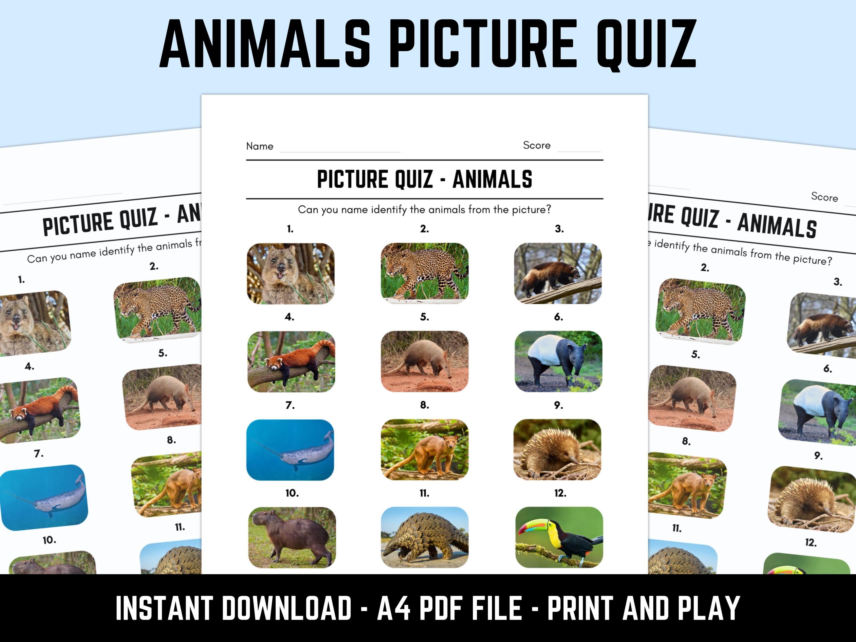 Printable Animals Picture Quiz With Answers: Picture Round Quiz Sheets ...