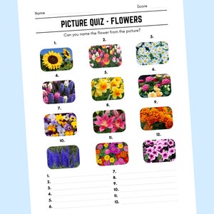 Printable Flowers Picture Quiz With Answers - Etsy