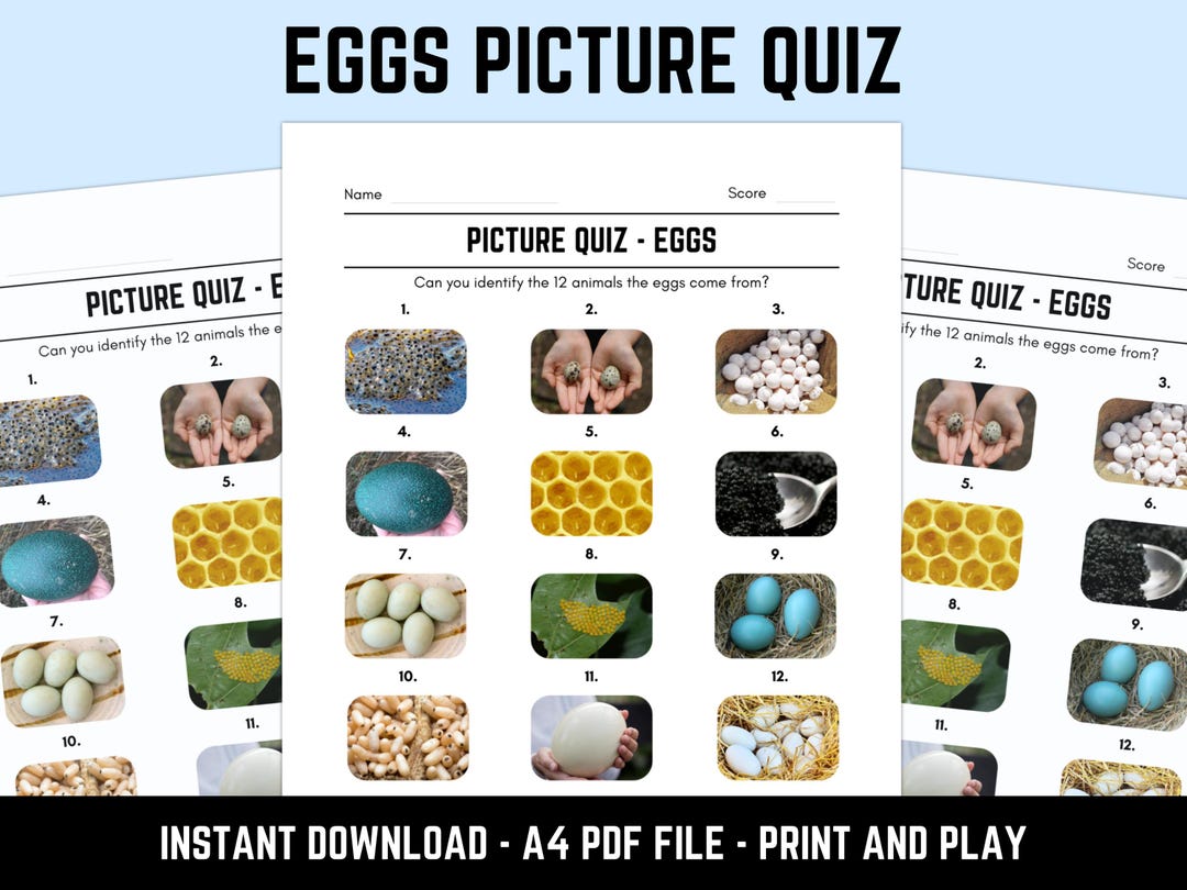 Printable Eggs Picture Quiz With Answers: Picture Round Quiz Sheets ...