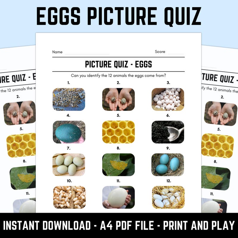 Bing Homepage Quiz Daily 1234 Answers 2023 Printable Pdf File - Etsy Canada