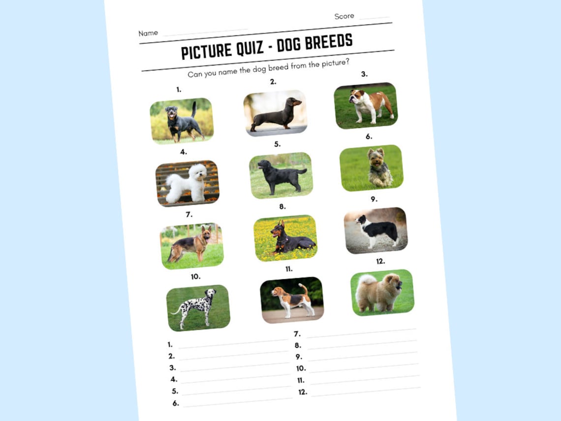 Printable Dog Breeds Picture Quiz With Answers - Etsy UK
