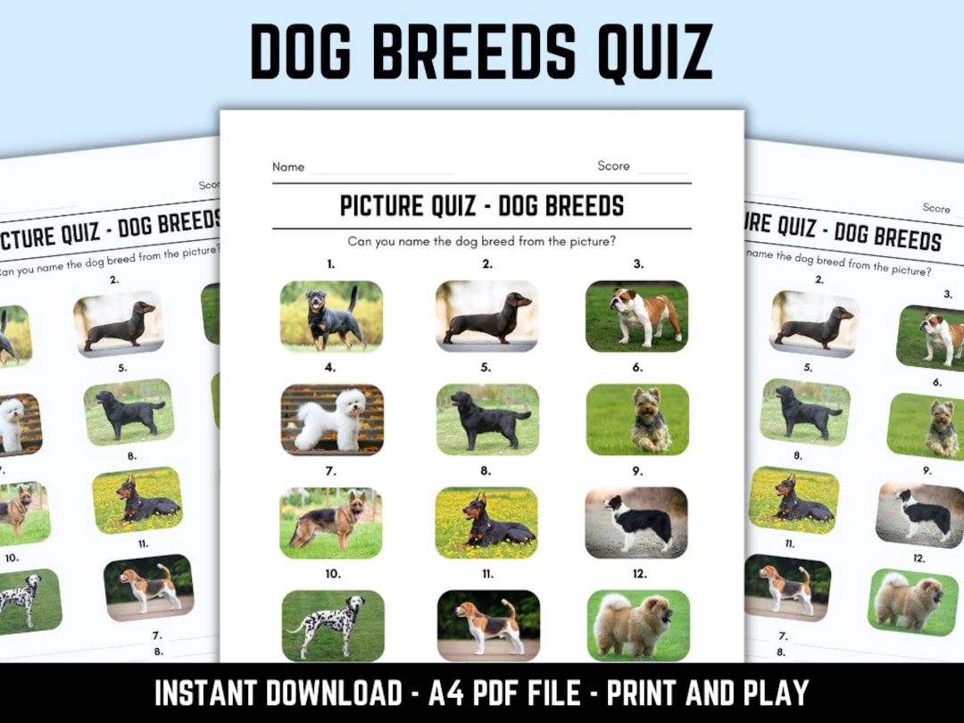 Printable Dog Breeds Picture Quiz With Answers - Etsy UK