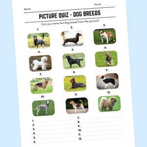 Printable Dog Breeds Picture Quiz With Answers - Etsy