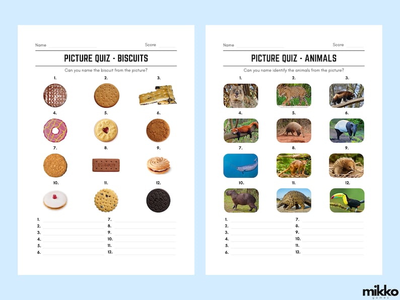 Printable Picture Quiz Bundle – 10 Fun Quizzes in 1 | Picture Round ...