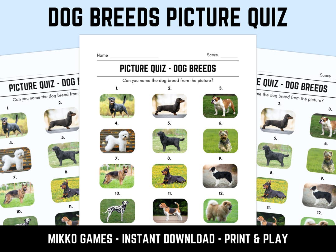 Printable Dog Breeds Picture Quiz With Answers: Picture Round Quiz ...