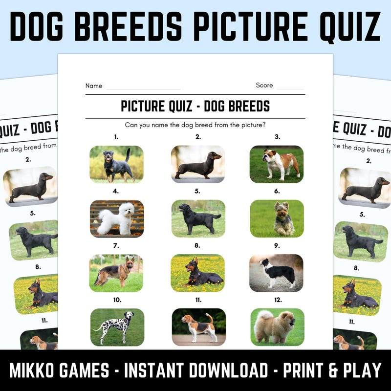 Dog Pub Photo - Etsy