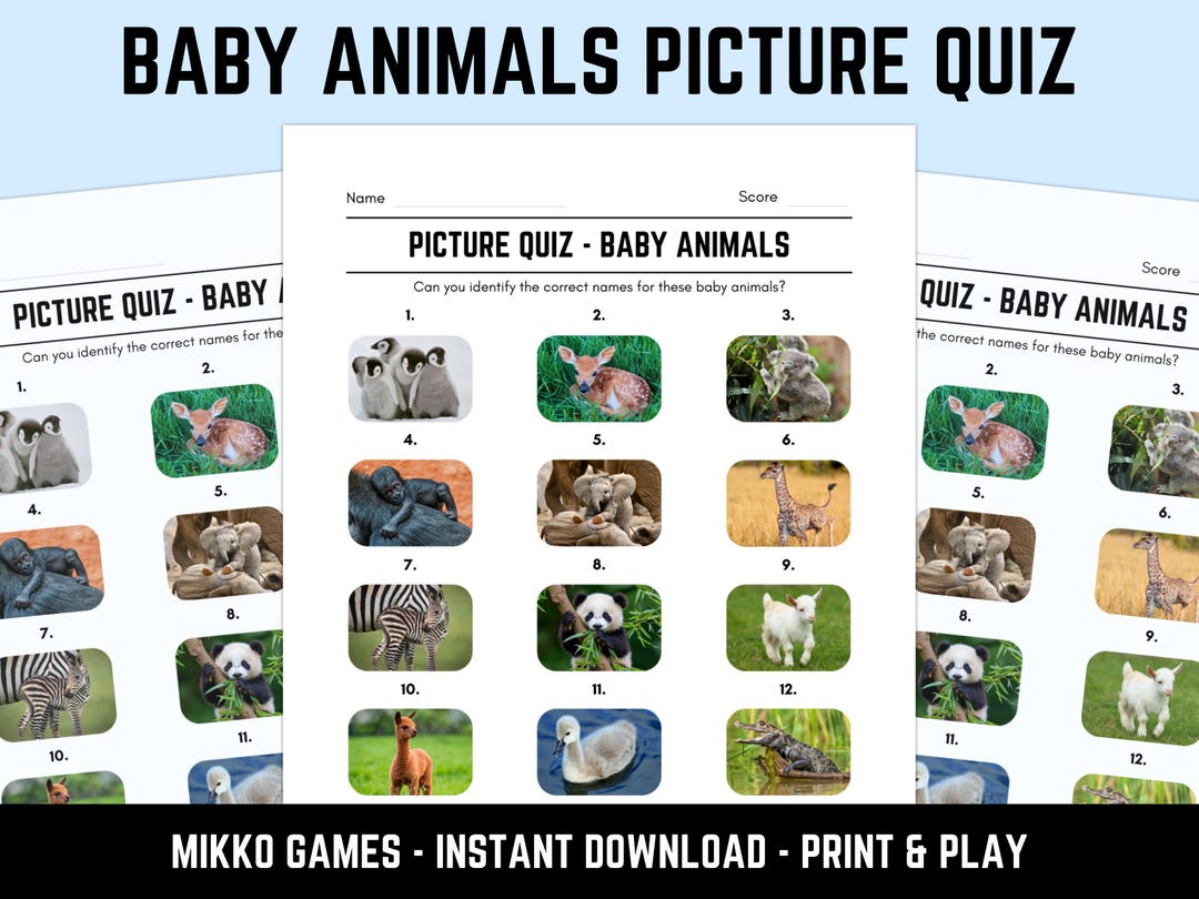 Printable Baby Animals Picture Quiz With Answers: Picture Round Quiz ...