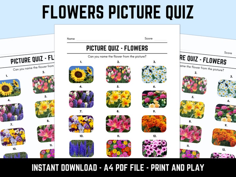 Printable Flowers Picture Quiz With Answers - Etsy