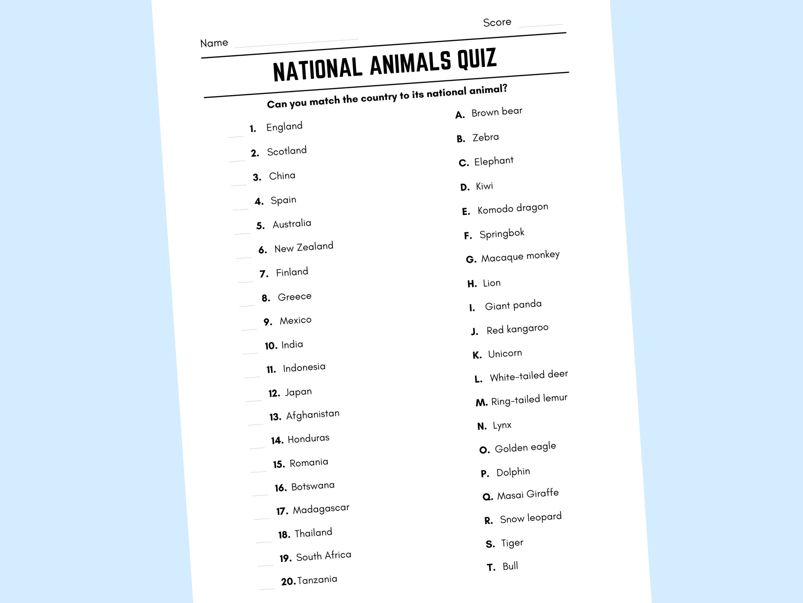 Printable Match up Quiz Bundle 12 Match up Quizzes With Answers - Etsy