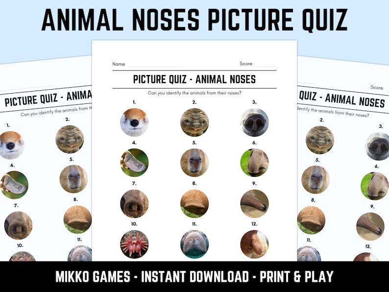 Printable Animal Noses Picture Quiz With Answers: Picture Round Quiz ...