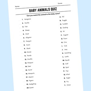 Printable Baby Animals Match up Quiz With Answers - Etsy