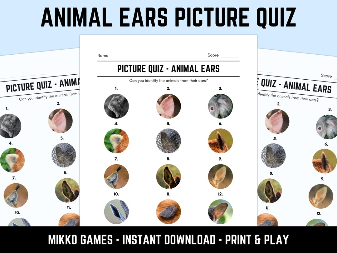 Printable Animal Ears Picture Quiz With Answers: Picture Round Quiz ...