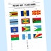 Printable Flags Picture Quiz With Answers | Picture Round Quiz Sheets ...