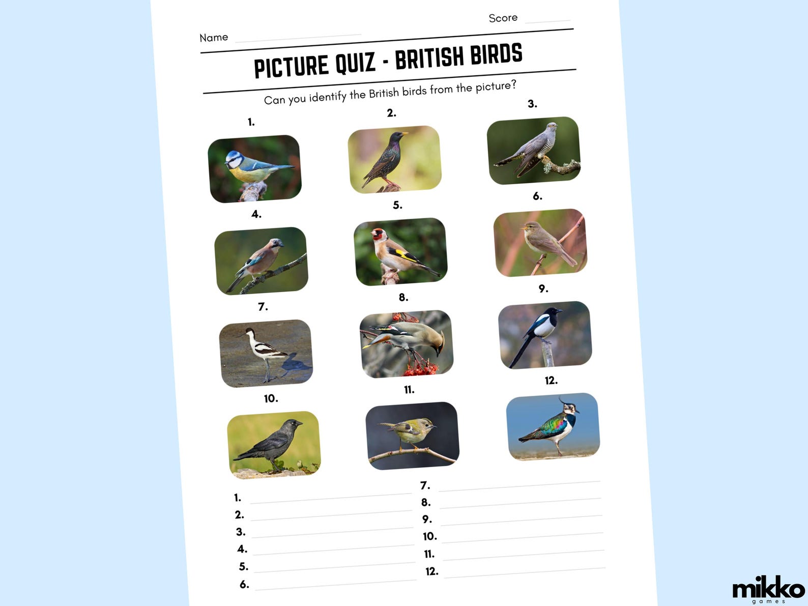 Printable British Birds Picture Quiz With Answers: Picture Round Quiz ...
