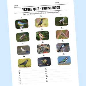 Printable British Birds Picture Quiz With Answers: Picture Round Quiz ...