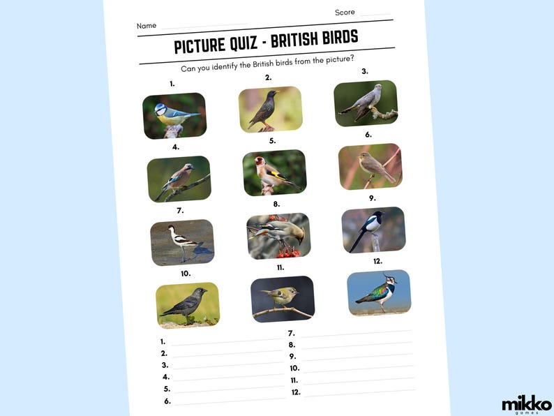 Printable British Birds Picture Quiz With Answers: Picture Round Quiz ...
