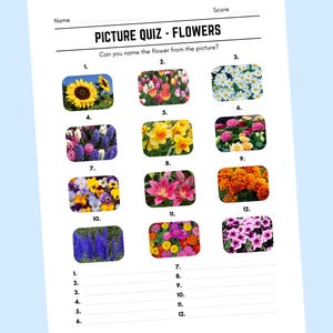 Printable Flowers Picture Quiz With Answers: Picture Round Quiz Sheets ...