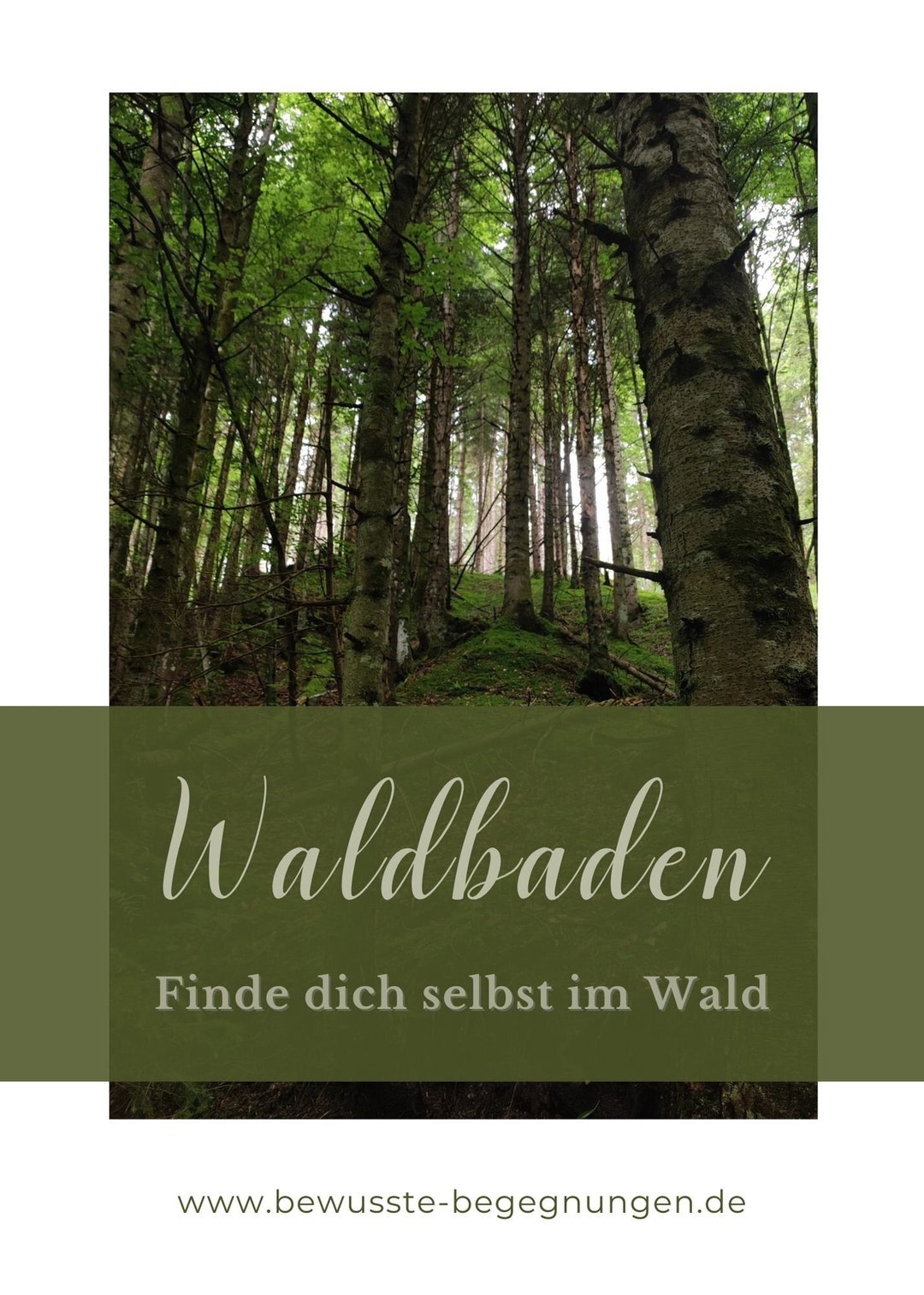 Forest Bathing 17 Digital Cards for Mindful Forest Bathing - Etsy