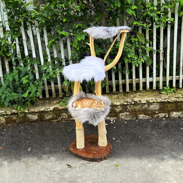 Tree Branch Shelf - Etsy